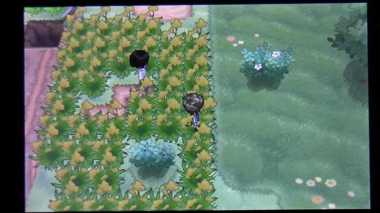Pokemon X & Y Walkthrough Part 9 (Zubat Cave and route 8) - YouTube