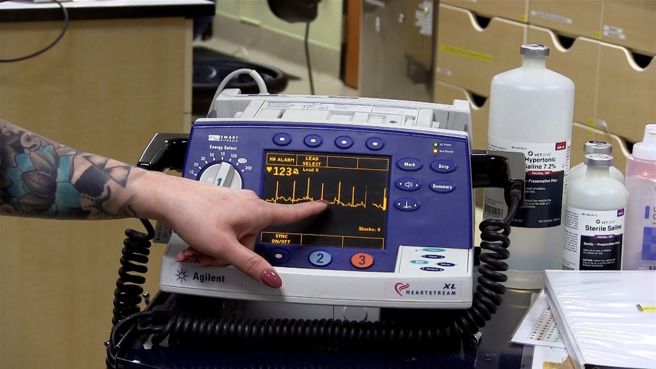 Applying and Troubleshooting ECG Leads - YouTube