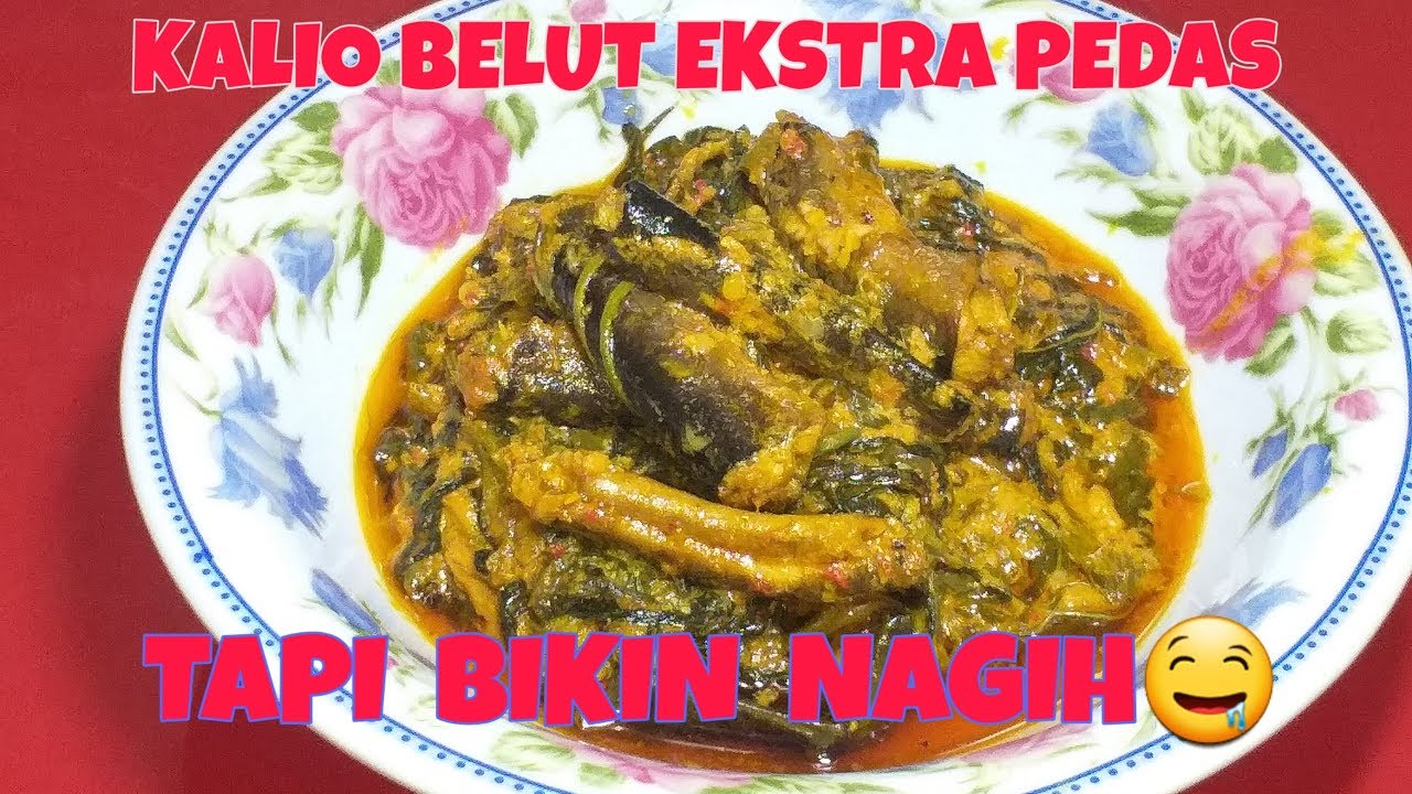 KALIO BALUIK PADEH MAMBANA || BELUT MASAK EKSTRA PEDASSSS A LA PADANG ...