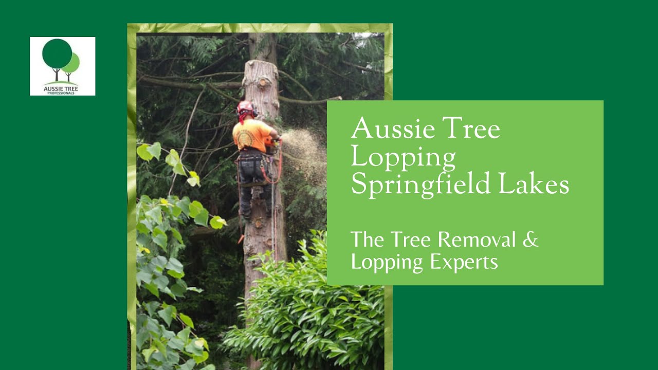 Aussie Tree Lopping Springfield Lakes - Tree Trimming Springfield Lakes ...