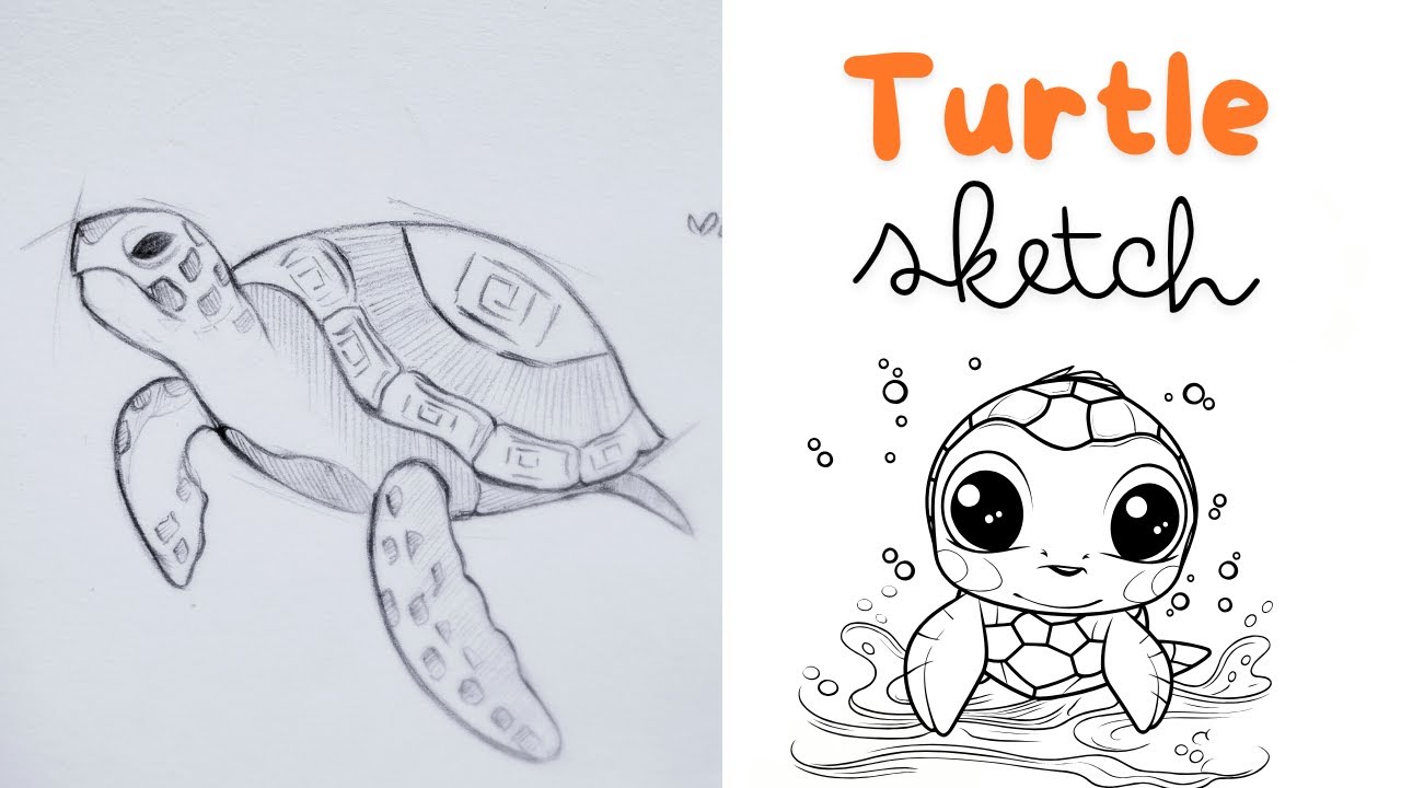 How to Draw Turtle Sketch | Turtle Ka Sketch (Drawing) 🐢 - YouTube