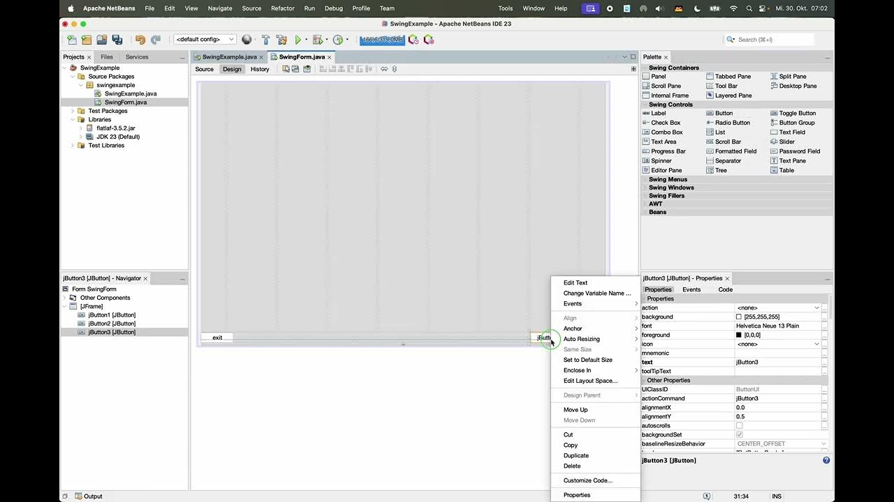 Java Swing Application with Flatlaf written with Netbeans 23 - YouTube