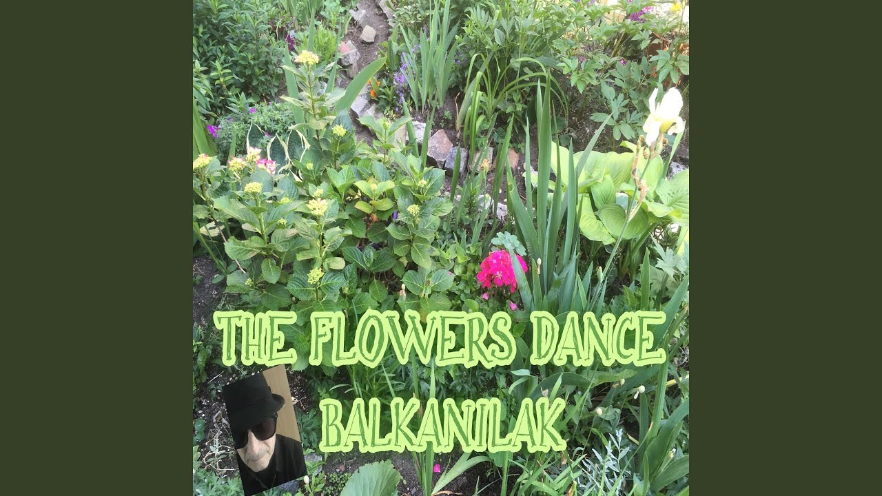 The flowers dance - YouTube