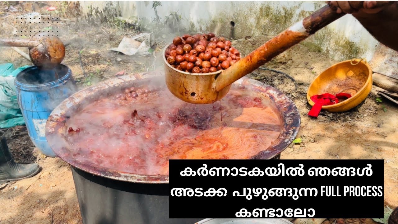 Areca nut Processing||കർണാടകയിൽ അടക്ക പുഴുങ്ങി ഉണങ്ങുന്ന full process - YouTube