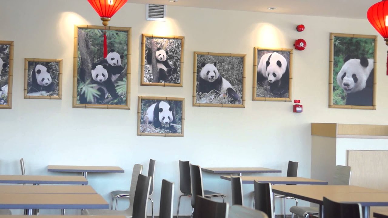 Mama Panda Kitchen at River Safari Singapore - YouTube