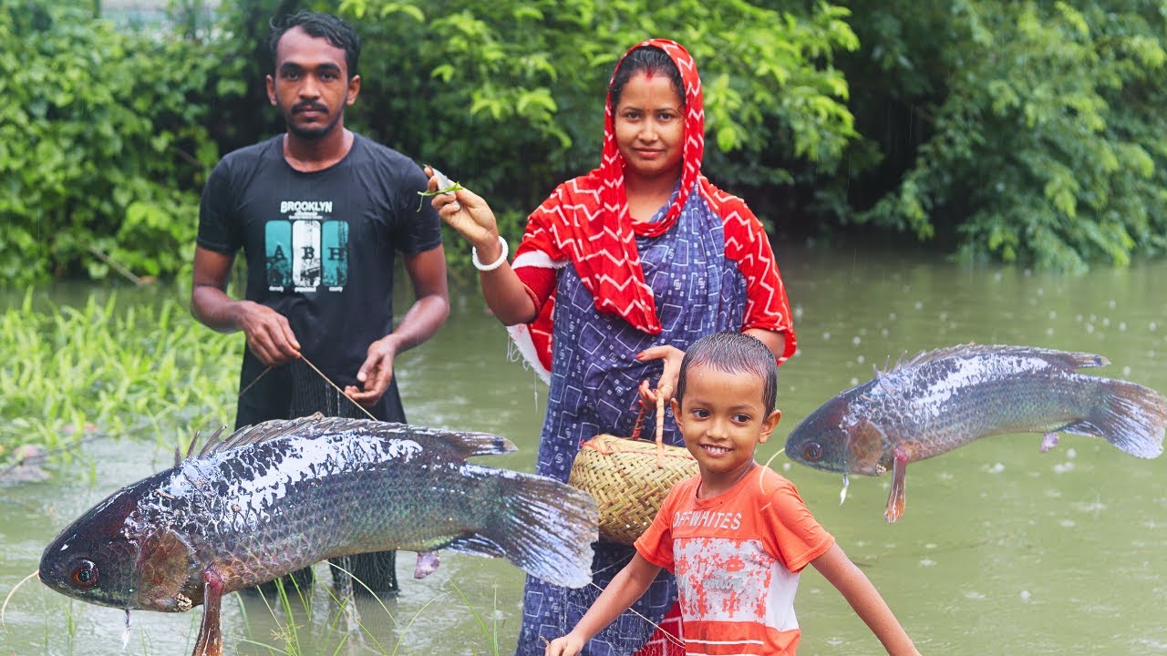 বর্ষার দিনে কই মাছ ধরে মান কচু দিয়ে রান্না করলাম।।koi mash recipe ...