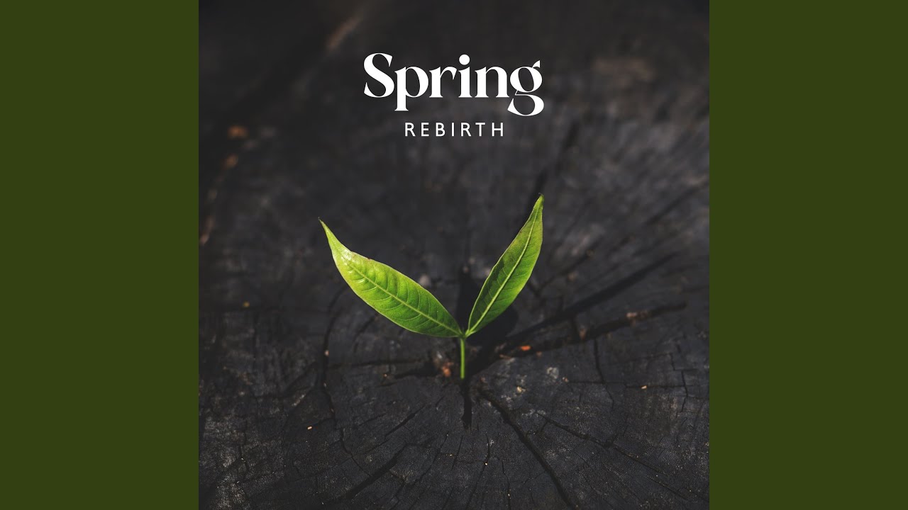 Smiling Trees - YouTube