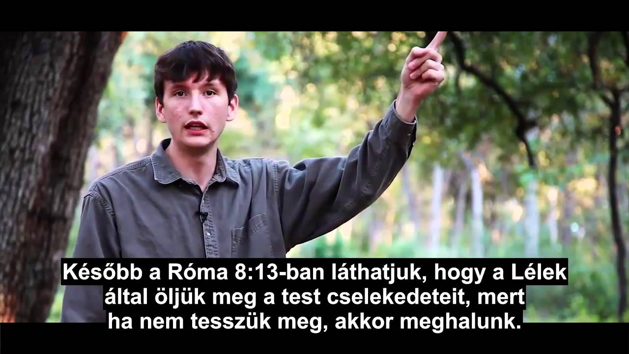 Bódi Guszti 2016,Mary Nótár,Jolly és Kis Grofo,Fekete szemek,Váradi ...