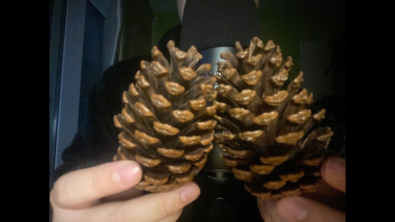 【ASMR】No Talking,Pine Cones，Maraca，Scratching，Tap the Bottle - YouTube