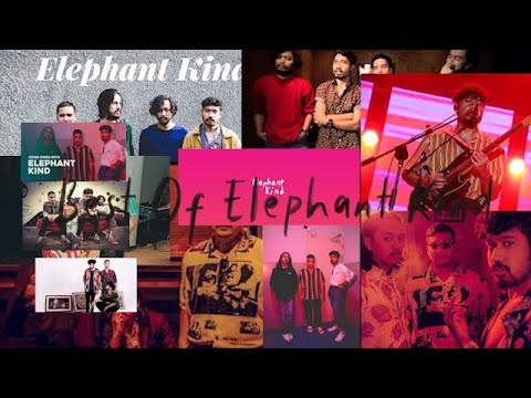 8 Playlist Lagu Elephant Kind Paling Populer - YouTube