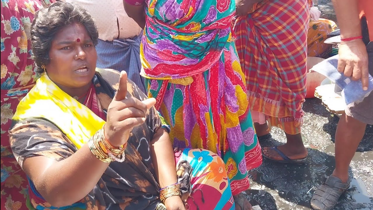 Kanadi parai fish Travely 🐟 yallam fresh fish market kasimedu chennai ...