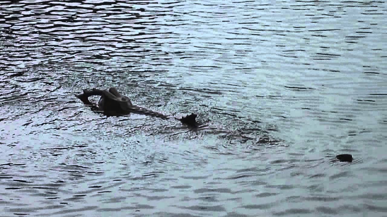 Disney RC Nautilus - YouTube