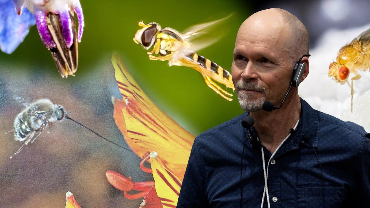 The Unexpected Lives Of Insects: Vegan Since 1989; Jonathan Balcombe ...