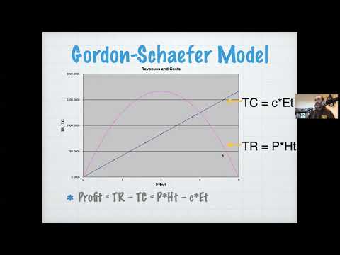 EE375 Lecture 19e: Gordon-Schaefer Model - YouTube