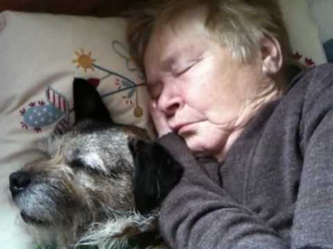Snoring Grandma and Dog - YouTube