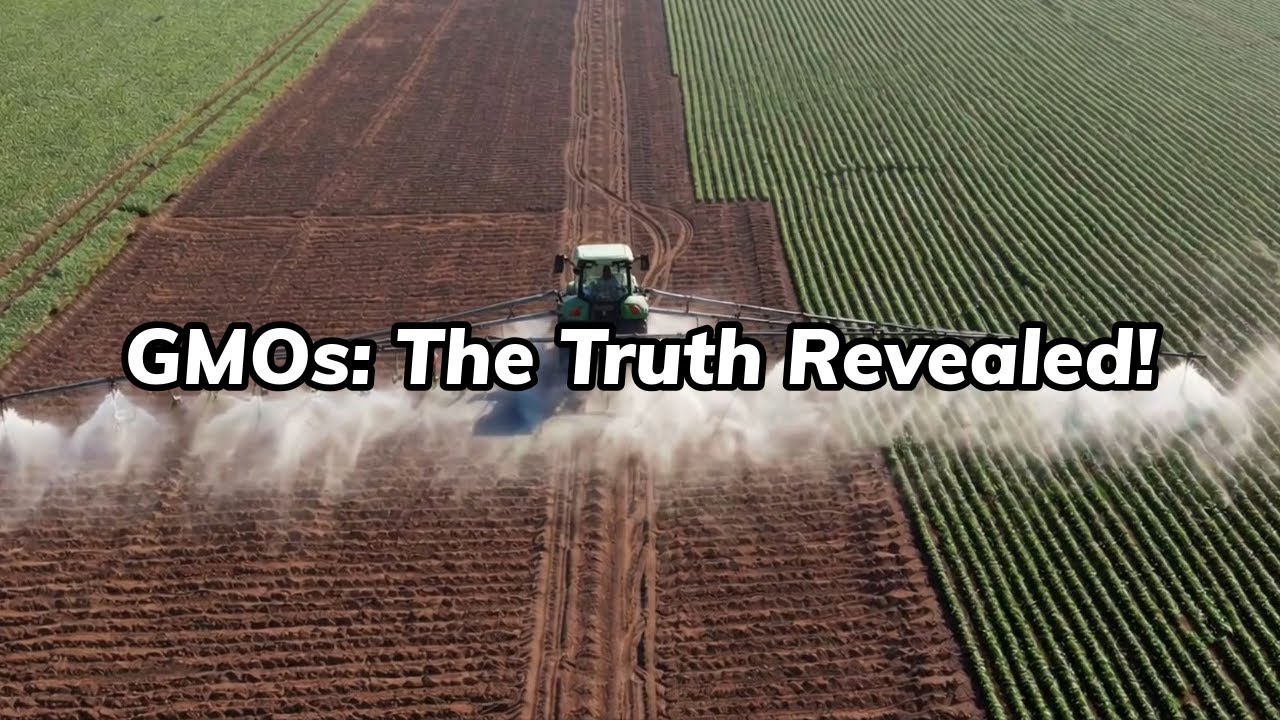 GMOs Explained: Myths vs. Facts (What Science Really Says) - YouTube