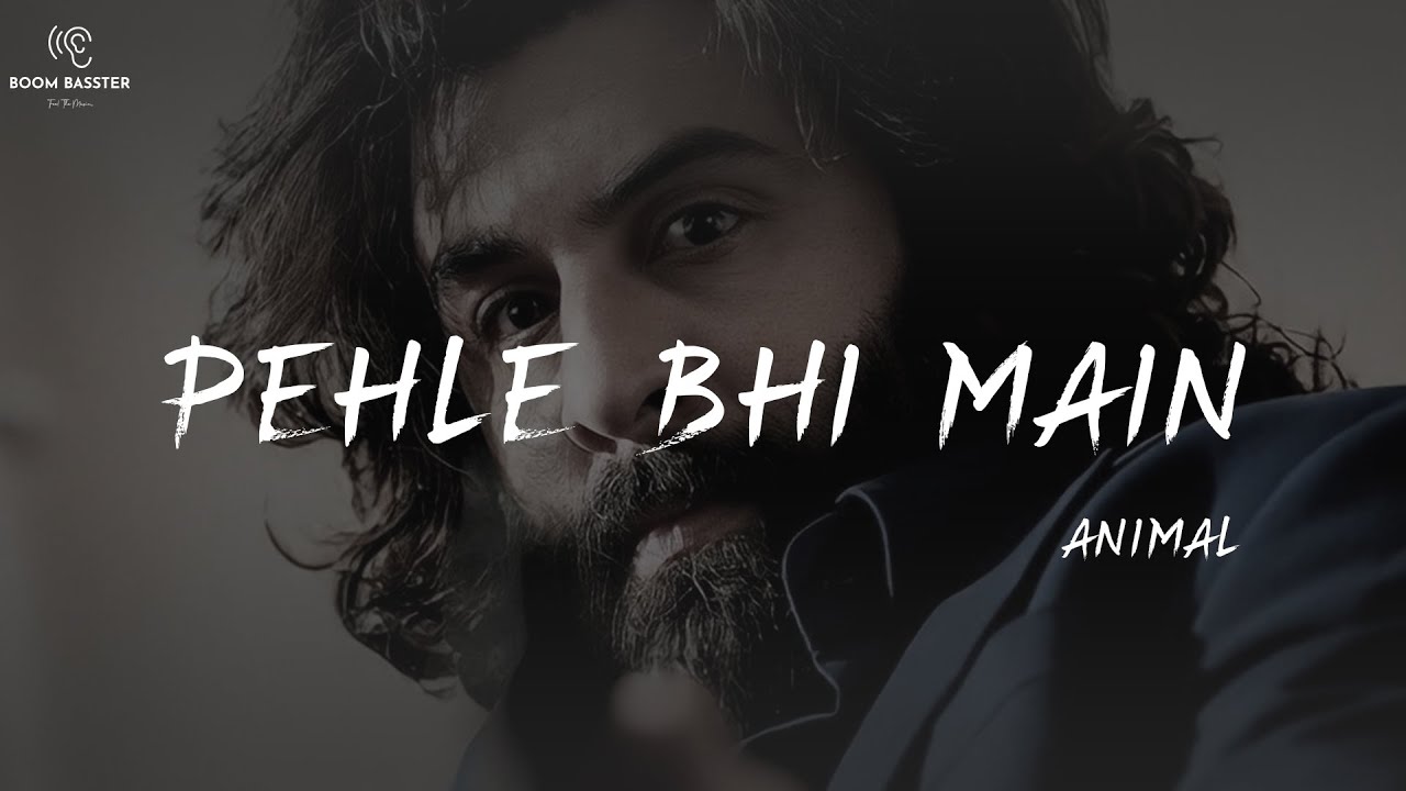 Pehle bhi main Lyrics Song - Animal | Official lyrics Video | Song ...