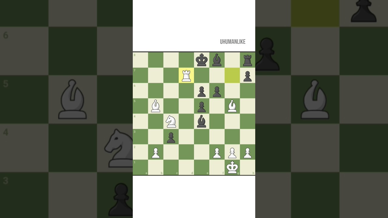 Rook And Bishops Discover Check | Checkmate - YouTube