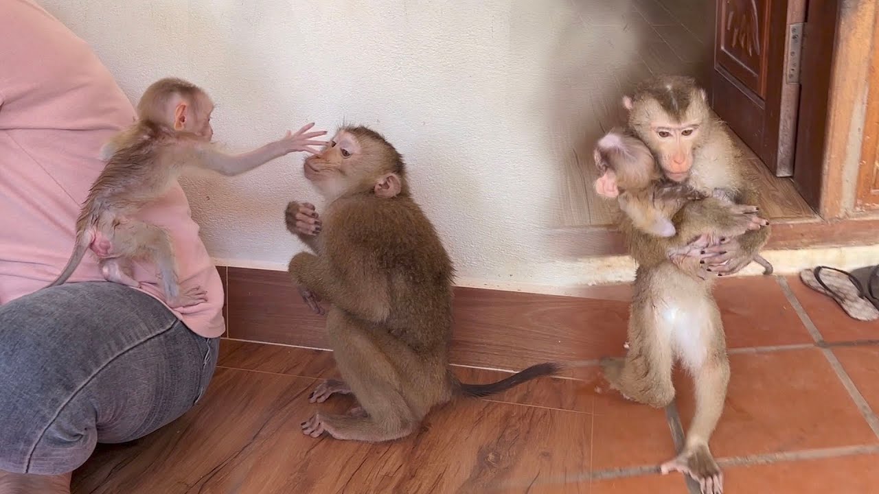 Judee Is So Tender & Beautiful, Very Attntve Care Tiny Joyee - YouTube