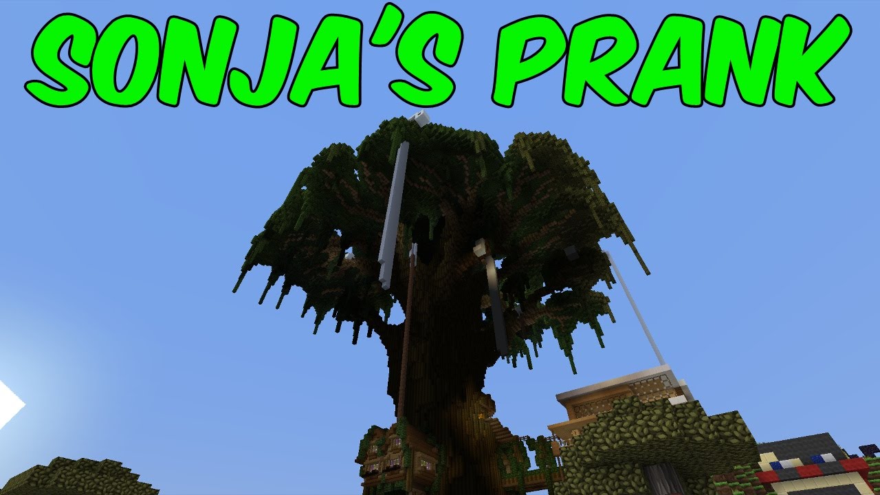 TP THE TREE! - Mianite (Day 82) - YouTube