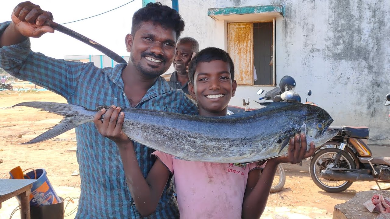 parla fish cutting video - YouTube