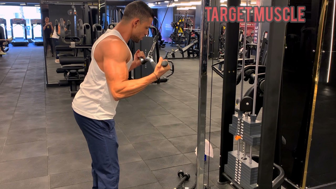 Cable Reverse Push Down - YouTube