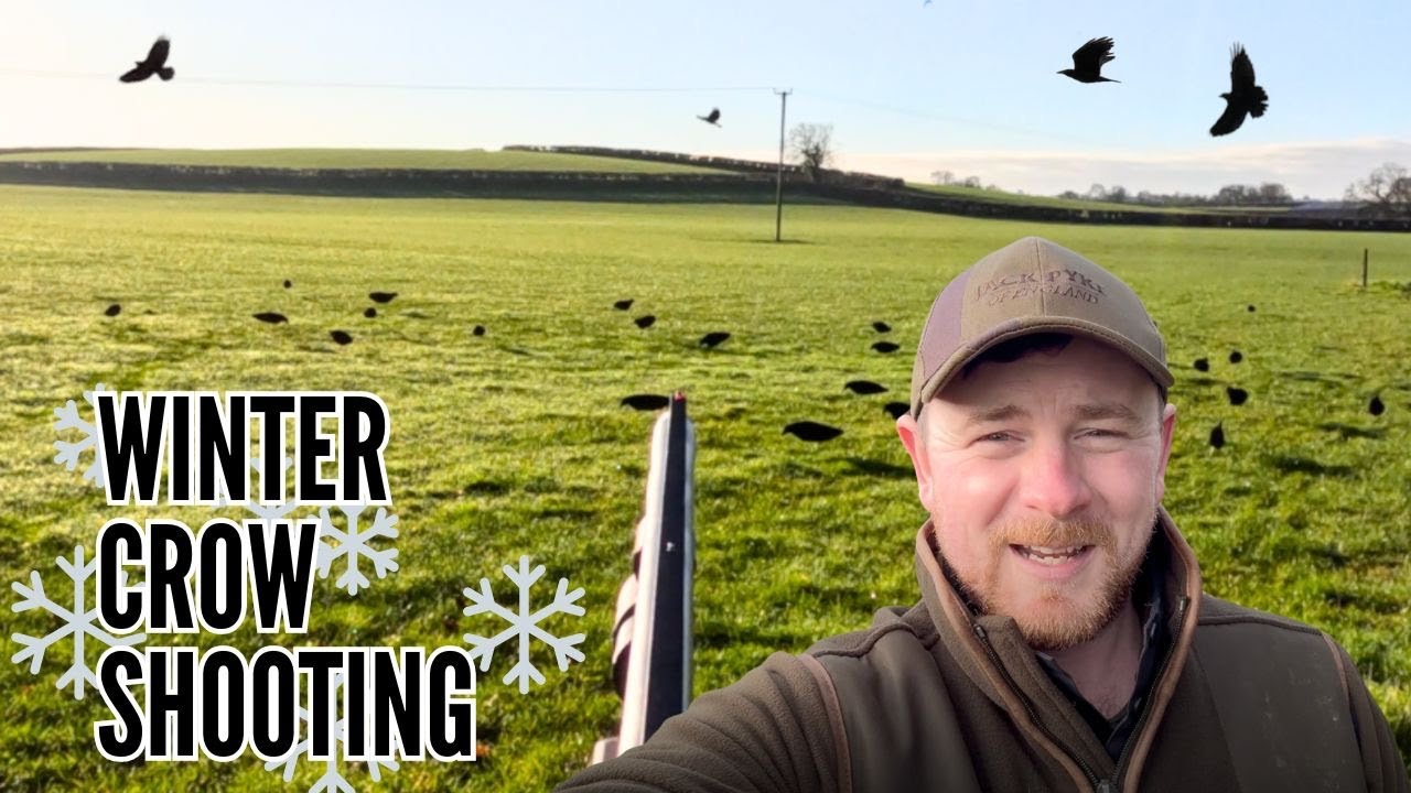 Little Crow Shooting