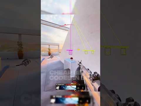 Aim, bot and wall hacks are already in Black ops 6