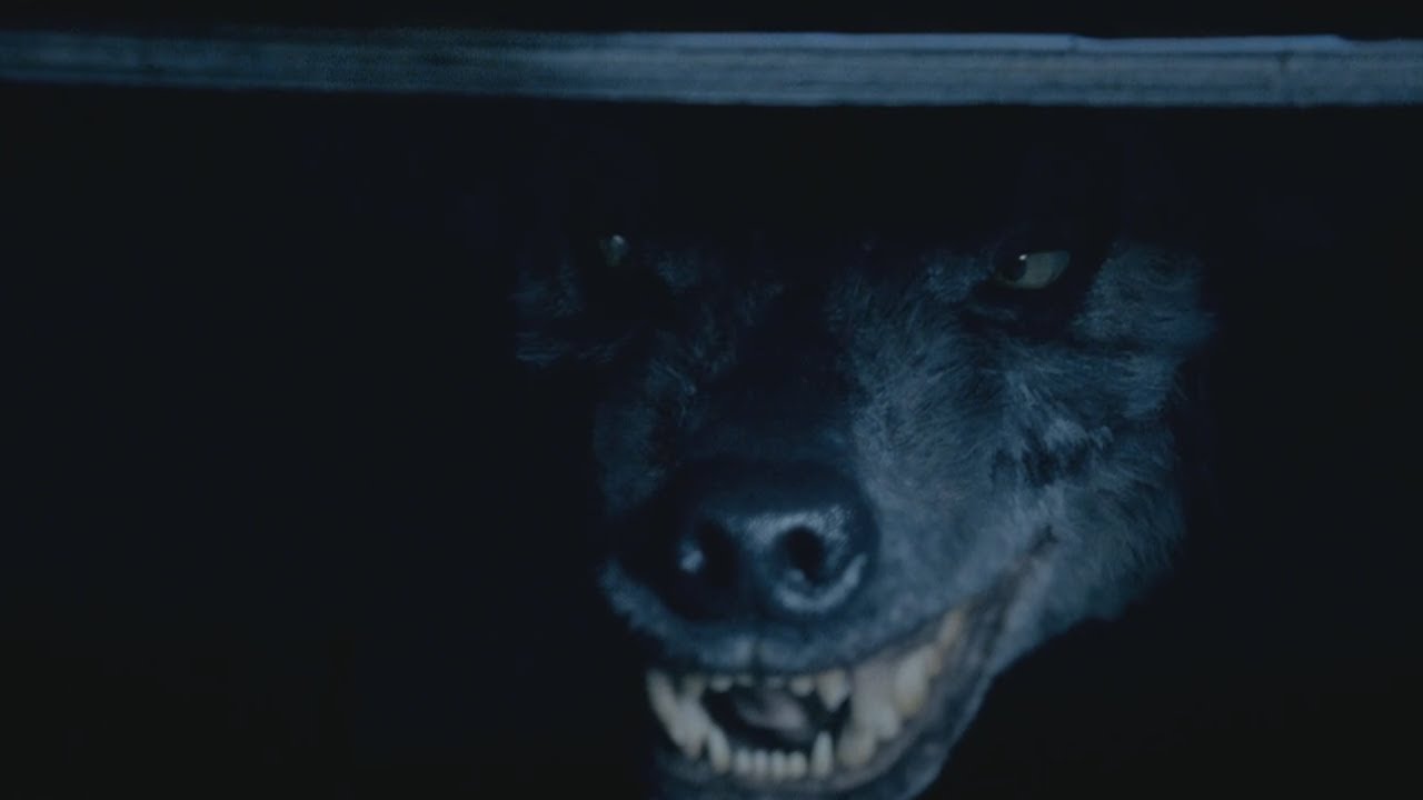 Primeval: Hyaenodon - YouTube