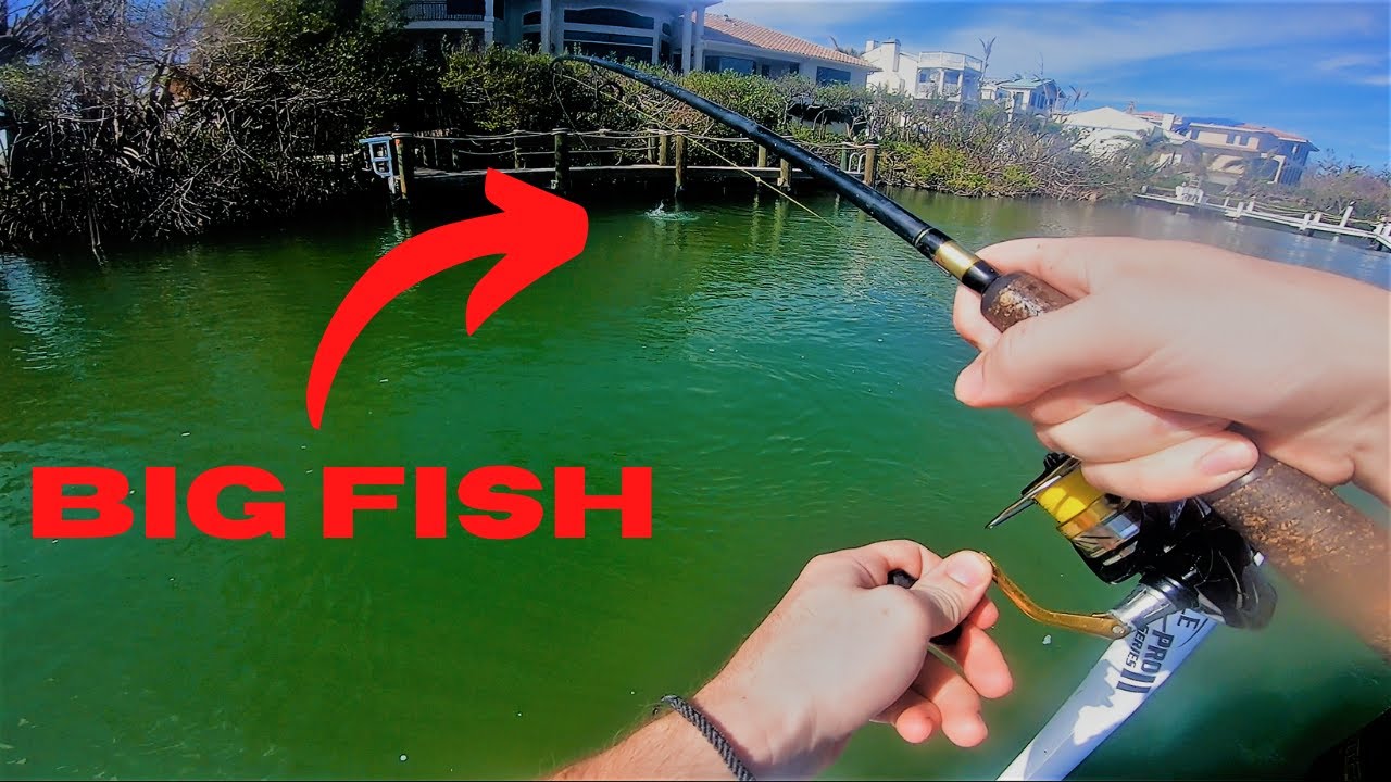 Post HURRICANE IAN fishing in Fort Myers - YouTube