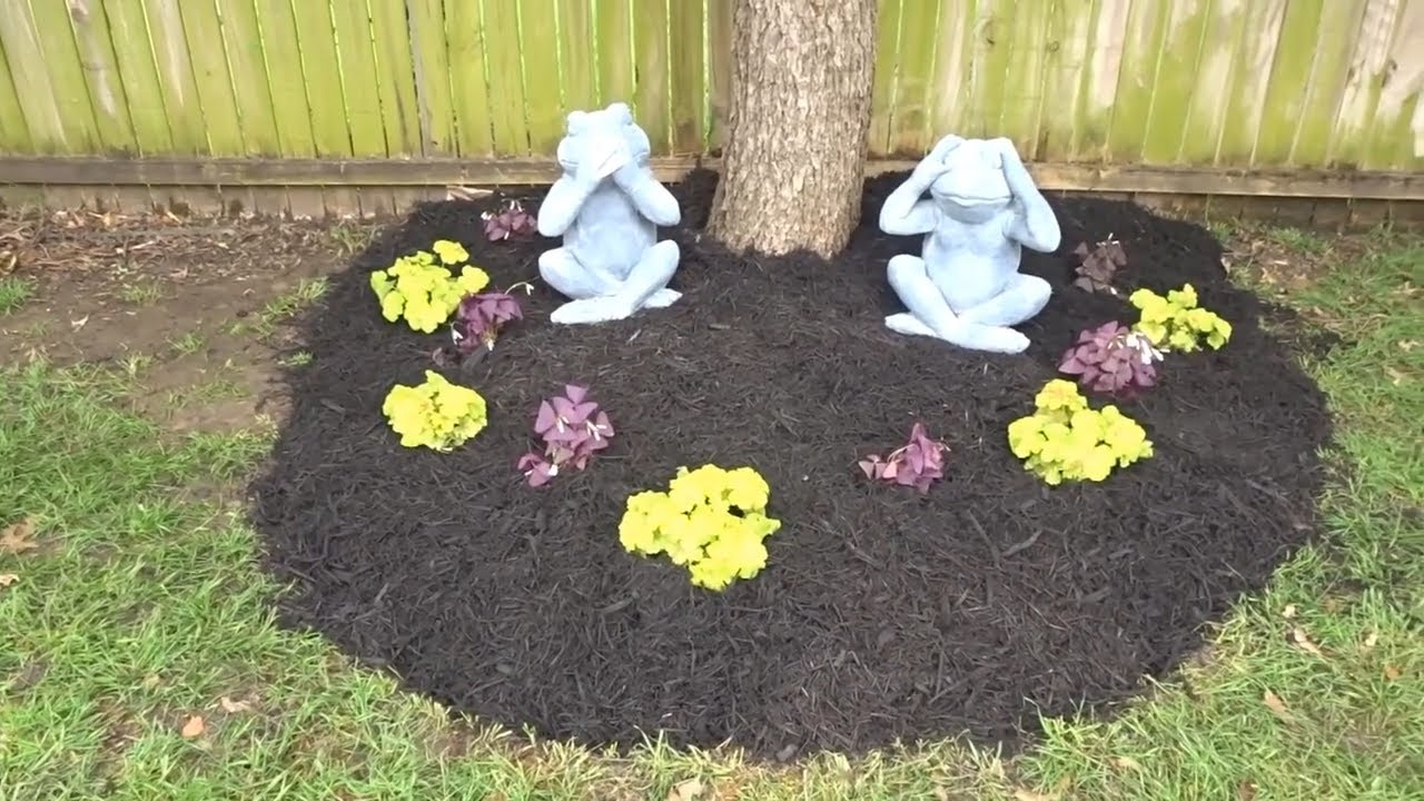 Creating A Flower Bed From Scratch For Shade Plants Wendi s Garden creating-a-flower-bed-from-scratch-for-shade-plants-wendi-s-garden