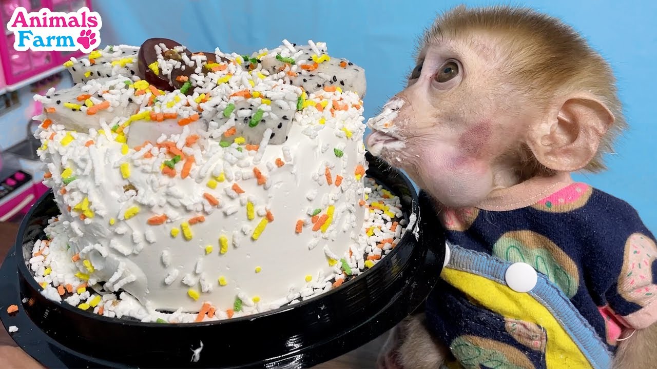 Monkeys Eating Cake