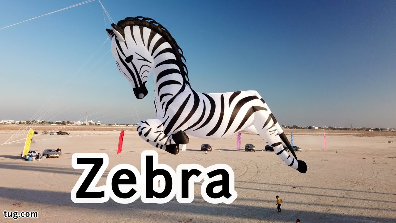 Peter Lynn Zebra Kite - YouTube