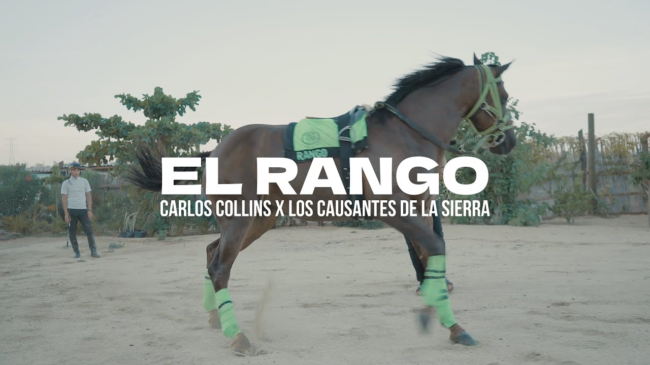 El Rango - Carlos Collins X Los Causantes de la Sierra (Oficial) - YouTube