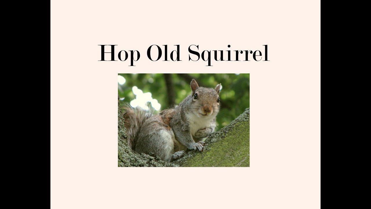 Hop Old Squirrel - YouTube