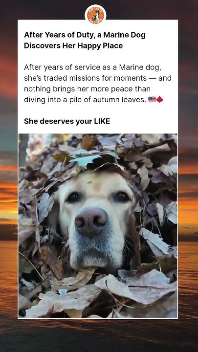 She discovers her happy place #shorts - YouTube