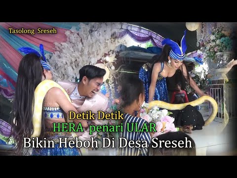 Detik Detik Ketika ULAR HERA Yg Bikin HEBOH Desa Sreseh