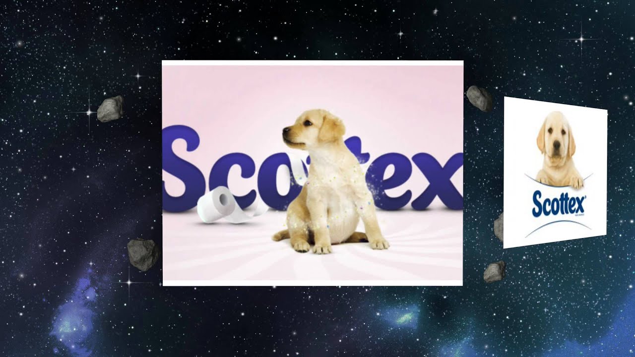 El perrito de Scottex - YouTube