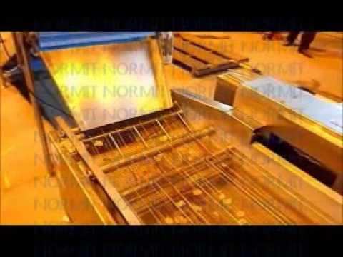 NORMIT deep continuous fryer testing - YouTube