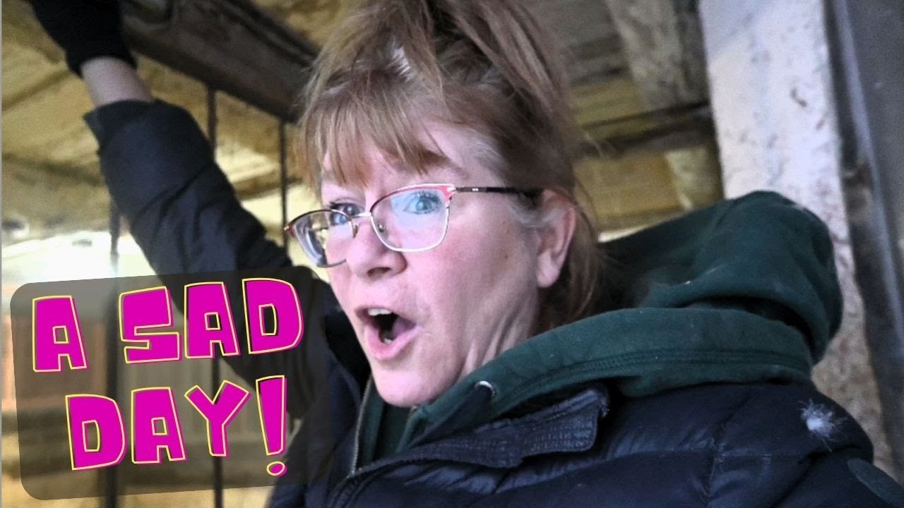 Today Was A SAD Day! - YouTube