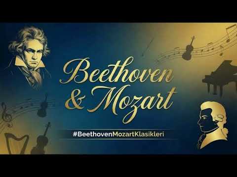 Beethoven Symphony No.5 Allegro con brio