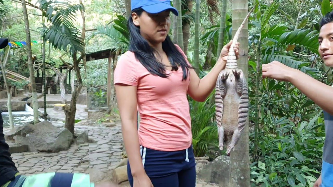 Cusuco O Armadillo En El Salvador!! - YouTube