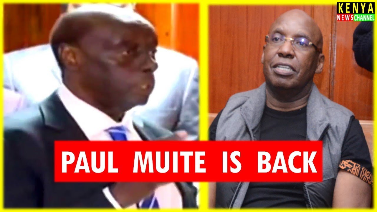 JIMI WANJIGI IN COURT - Listen how Brilliant Lawyer Paul Muite defended ...