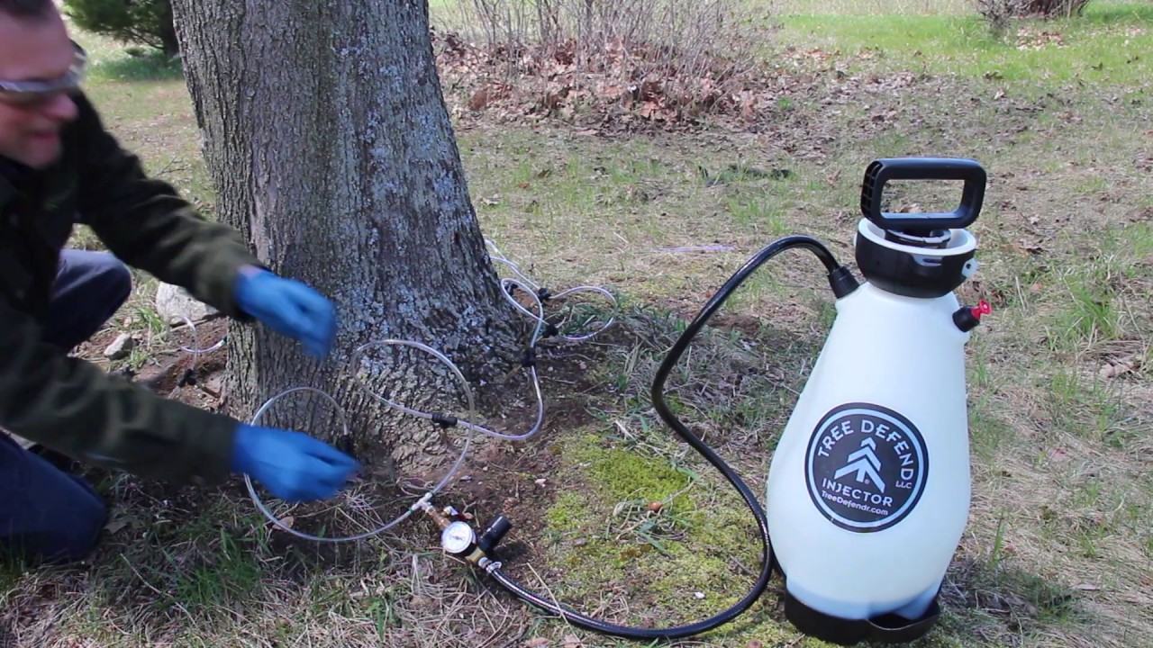 TREE DEFEND • Tree Injector Instruction Video - YouTube