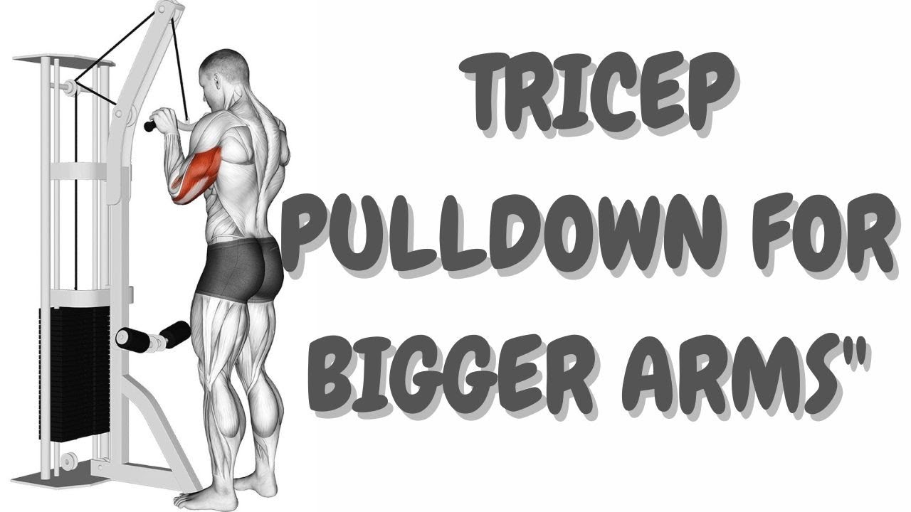 "5 Variations of Tricep Pulldown for Bigger Arms"| triceps pulldown variations | #triceps - YouTube