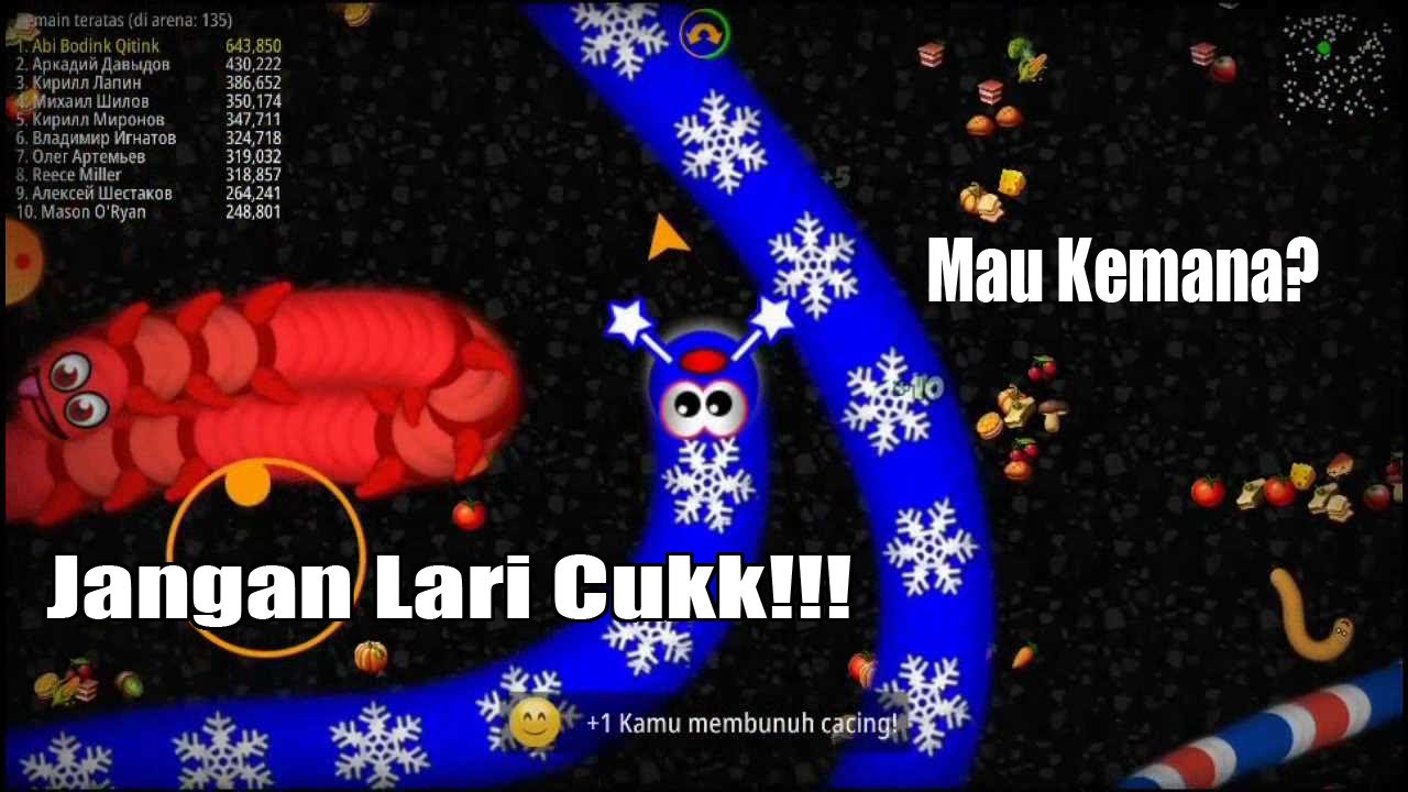 Cacing Alaska....Akhirnya Kesampaian juga Guys!!!! - YouTube