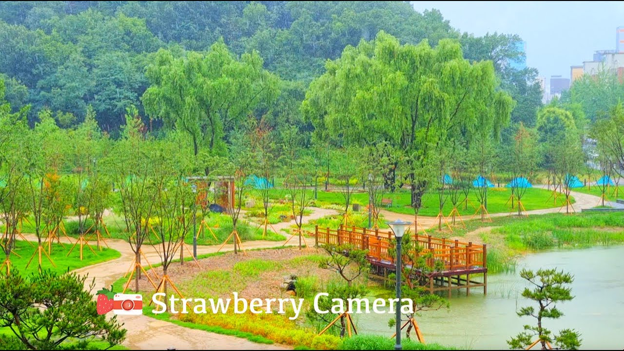 𝐏𝐥𝐚𝐲𝐥𝐢𝐬𝐭 비 오는 날 듣기 좋은 노래모음☔️ 분위기 있는 감성팝송 🍓Strawberry Camera - YouTube