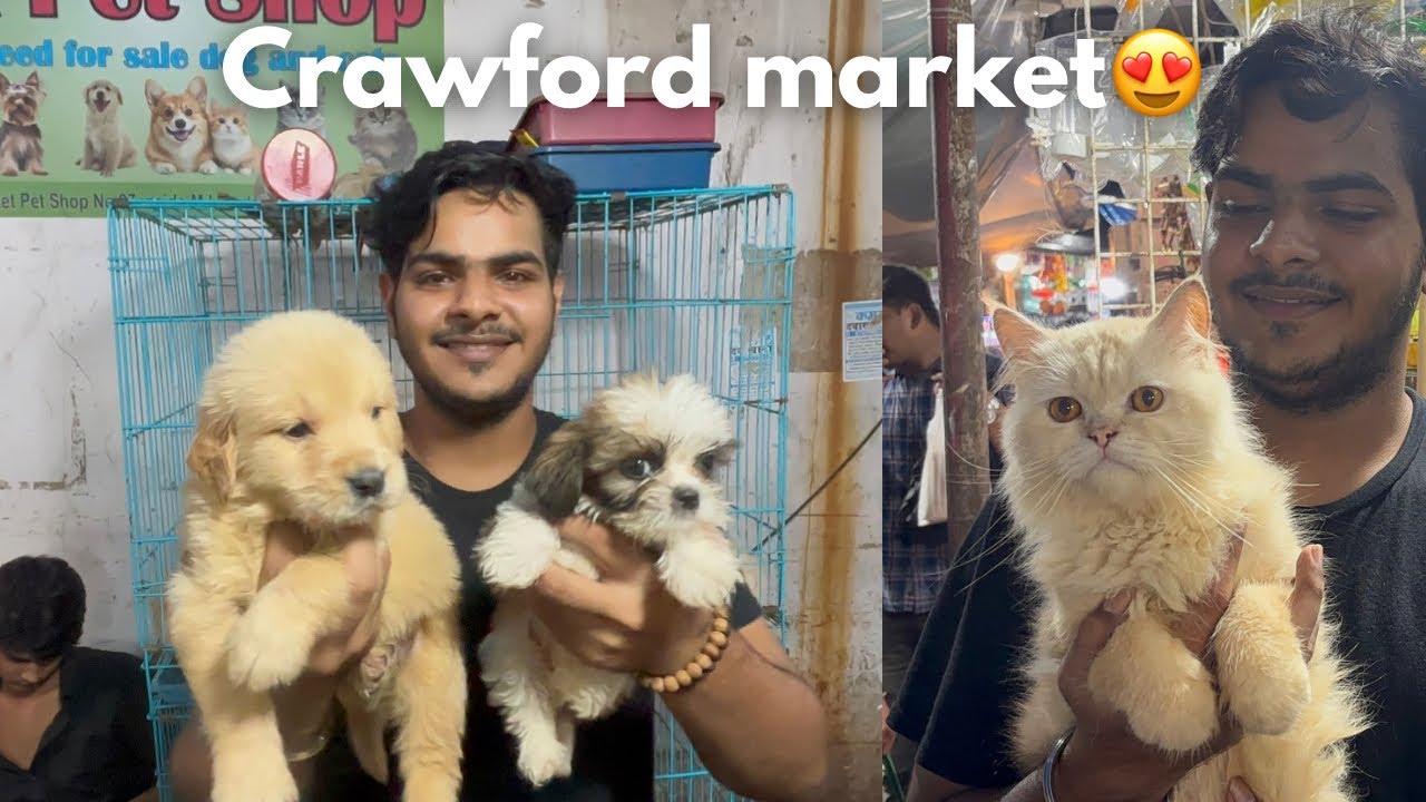 Most Affordable Pet Market In Mumbai / Cute dogs , Cats 😍/ Crawford ...