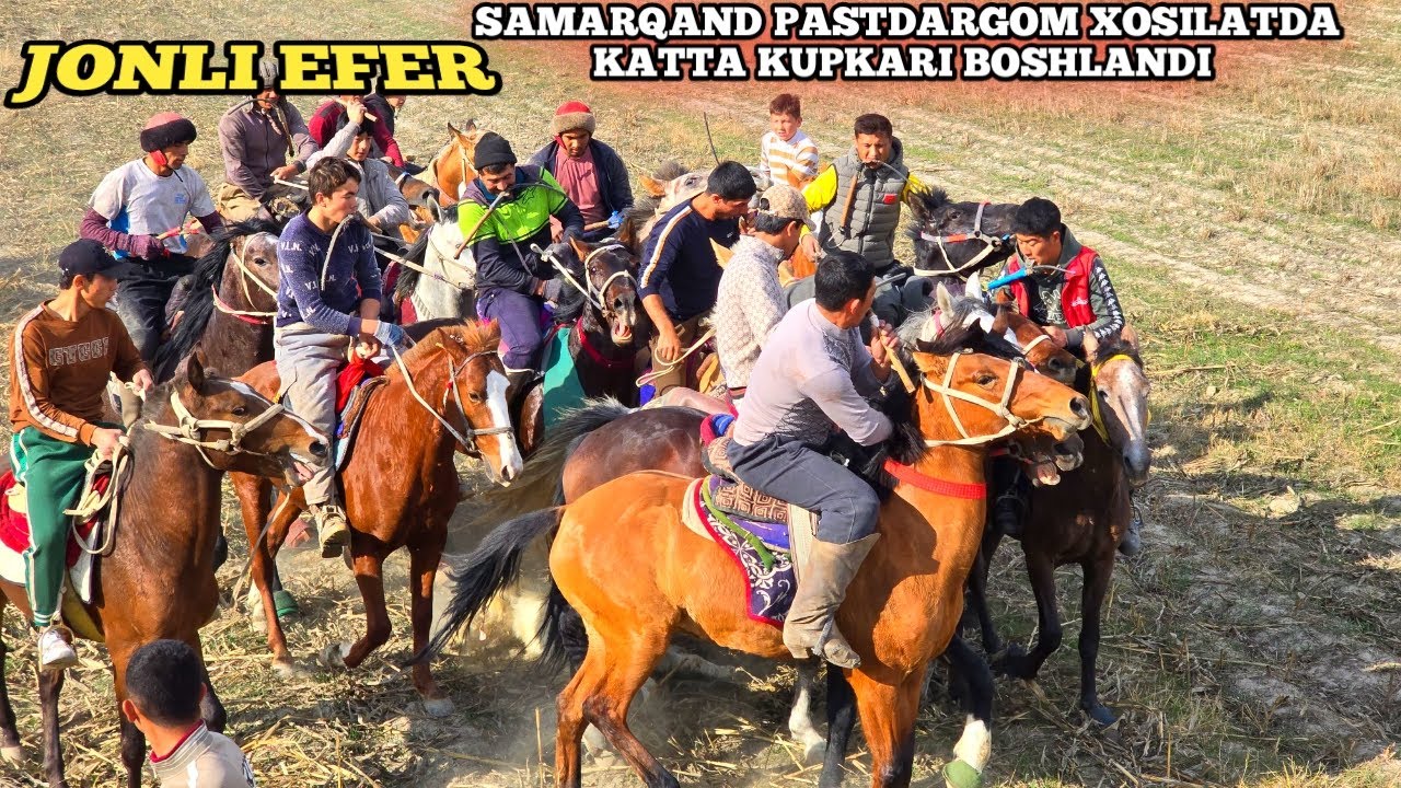 SAMARQAND PASTDARGOM HOSILATDA KATTA KUPKARI - YouTube