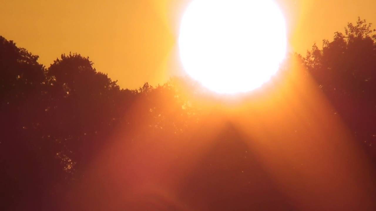 FREE STOCK FOOTAGE // HD 1080p 50 FPS //Sun rising over trees 5x speed ...
